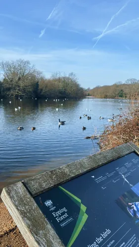 Best Hikes and Trails in Wanstead Park | AllTrails