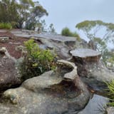 Drawing Room Rocks, New South Wales, Australia - 360 Reviews, Map ...