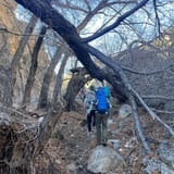 Picketpost Loop via Arizona Trail and L.O.S.T Trail, Arizona - 1,364 ...