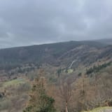 Crone Wood and Maulin Mountain Loop, County Wicklow, Ireland - 1,376 ...