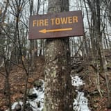 Mount Tremper Trail, New York - 1,493 Reviews, Map | AllTrails