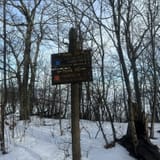 Mount Tremper Trail, New York - 1,493 Reviews, Map | AllTrails