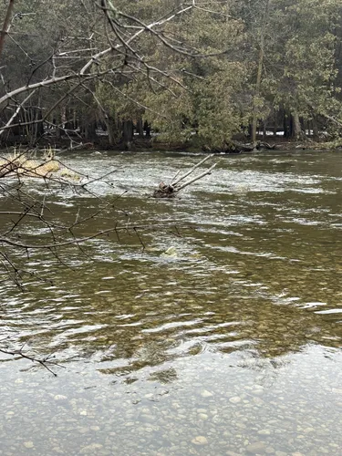 Best Hikes and Trails in Crane Park | AllTrails