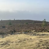 Scolty Hill, Aberdeenshire, Scotland - 102 Reviews, Map | AllTrails