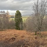 Scolty Hill, Aberdeenshire, Scotland - 102 Reviews, Map | AllTrails