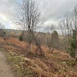 Scolty Hill, Aberdeenshire, Scotland - 102 Reviews, Map | AllTrails