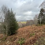 Scolty Hill, Aberdeenshire, Scotland - 102 Reviews, Map | AllTrails