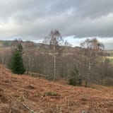 Scolty Hill, Aberdeenshire, Scotland - 102 Reviews, Map | AllTrails