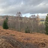 Scolty Hill, Aberdeenshire, Scotland - 102 Reviews, Map | AllTrails