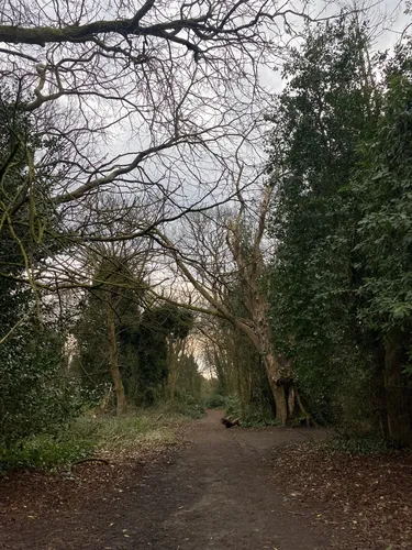 Best Hikes and Trails in Calderstones Park | AllTrails