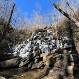 Yellow Branch Falls Trail, South Carolina - 2,514 Reviews, Map | AllTrails