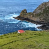 Cape Brett Track, Northland, New Zealand - 225 Reviews, Map | AllTrails