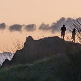 Cape Brett Track, Northland, New Zealand - 225 Reviews, Map | AllTrails