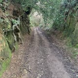 Hell Lane Circular, Dorset, England - 53 Reviews, Map | AllTrails
