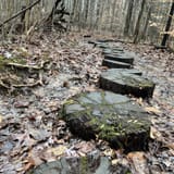 Monocacy Hill Trail, Pennsylvania - 1,846 Reviews, Map | AllTrails