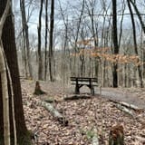 Monocacy Hill Trail, Pennsylvania - 1,794 Reviews, Map | AllTrails