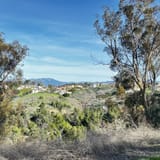 Murphy Ranch Trail , California - 1,429 Reviews, Map | AllTrails