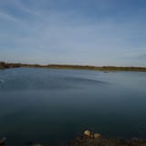 Cliffe Pools Circular, Kent, England - 88 Reviews, Map | AllTrails