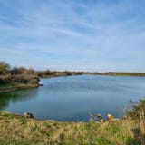 Cliffe Pools Circular, Kent, England - 88 Reviews, Map | AllTrails