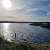 Cliffe Pools Circular, Kent, England - 88 Reviews, Map | AllTrails