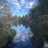UC Davis Arboretum Trail, California - 1,120 Reviews, Map | AllTrails