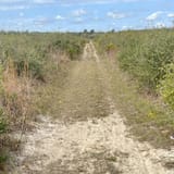 Doris Leeper Trail, Florida - 582 Reviews, Map | AllTrails