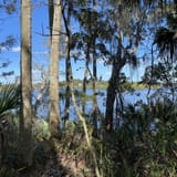 Doris Leeper Trail, Florida - 582 Reviews, Map | AllTrails