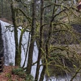 South Falls and Maple Ridge Loop, Oregon - 1,878 Reviews, Map | AllTrails