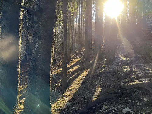 Best Hikes and Trails in Sagno | AllTrails