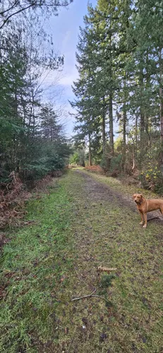 Best Easy Trails in Benyon's Enclosure | AllTrails