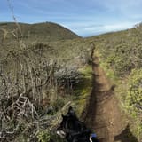 Old Colma Road Loop, California - 1,790 Reviews, Map | AllTrails