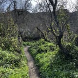 Old Colma Road Loop, California - 1,790 Reviews, Map | AllTrails