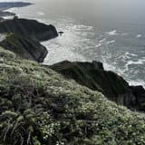 Old Colma Road Loop, California - 1,790 Reviews, Map | AllTrails