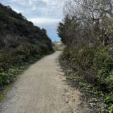 Old Colma Road Loop, California - 1,790 Reviews, Map | AllTrails