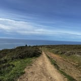 Old Colma Road Loop, California - 1,790 Reviews, Map | AllTrails