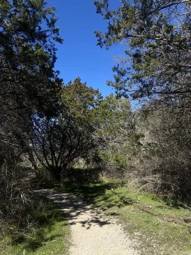 Best Hikes and Trails in Ringtail Ridge Natural Area | AllTrails