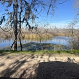 40 Acre Lake Trail, Texas - 345 Reviews, Map | AllTrails