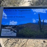 Cactus Forest Loop Drive, Arizona - 462 Reviews, Map | AllTrails