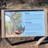 Cactus Forest Loop Drive, Arizona - 462 Reviews, Map | AllTrails