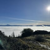 Upper Table Rock Trail, Oregon - 1,662 Reviews, Map | AllTrails