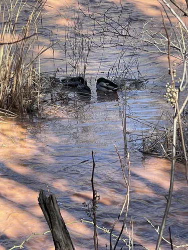 Best Hikes and Trails in Lake Wichita Park | AllTrails