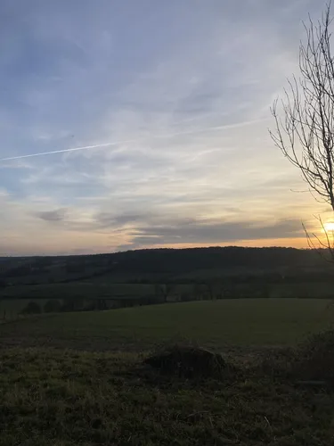 Best Hikes and Trails in Aston Rowant National Nature Reserve | AllTrails