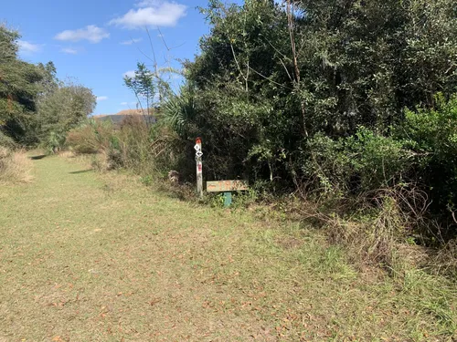 Best Hikes and Trails in Fish Hawk Nature Preserve North | AllTrails