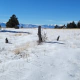 Tanner Trail, Colorado - 109 Reviews, Map | AllTrails