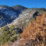 Tanner Trail, Colorado - 109 Reviews, Map | AllTrails