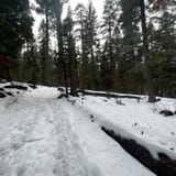 Fallen Leaf Lake Trail, California - 1,223 Reviews, Map | AllTrails