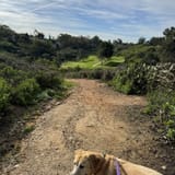 Balboa Park Loop, California - 942 Reviews, Map | AllTrails