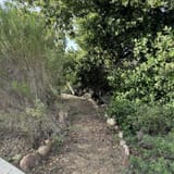 Balboa Park Loop, California - 942 Reviews, Map | AllTrails