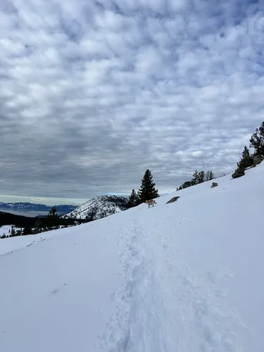 Best Waterfall Trails in Mount Rose Wilderness | AllTrails