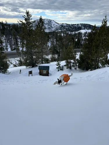 Best Waterfall Trails in Mount Rose Wilderness | AllTrails